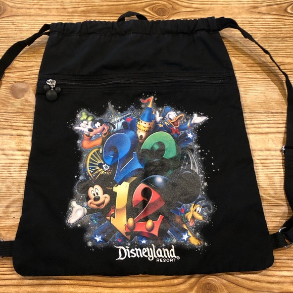 Disney | Bags | Disneyland Resort Backpack Carryall 22 | Poshmark